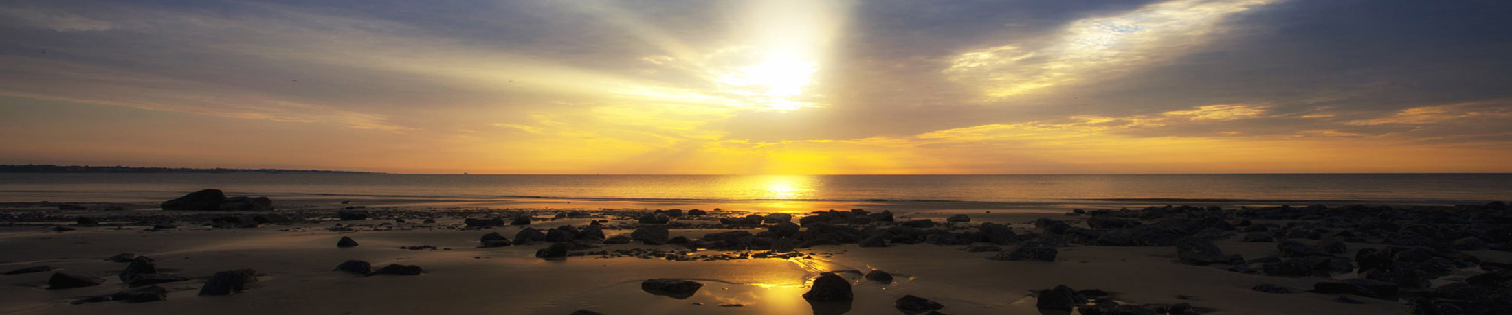 Georgia Department of Natural Resources - The Environmental Council of ...