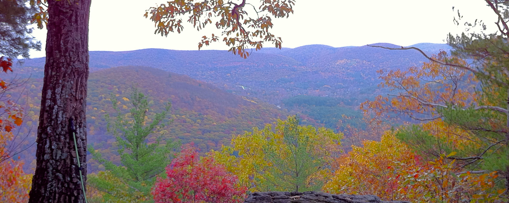 Connecticut Department of Energy & Environmental Protection - The ...