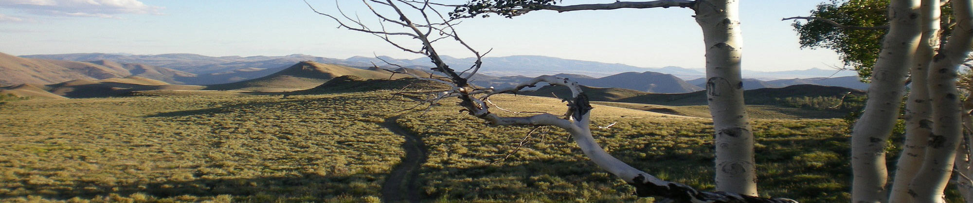 Nevada Division of Environmental Protection & Nevada Department of ...