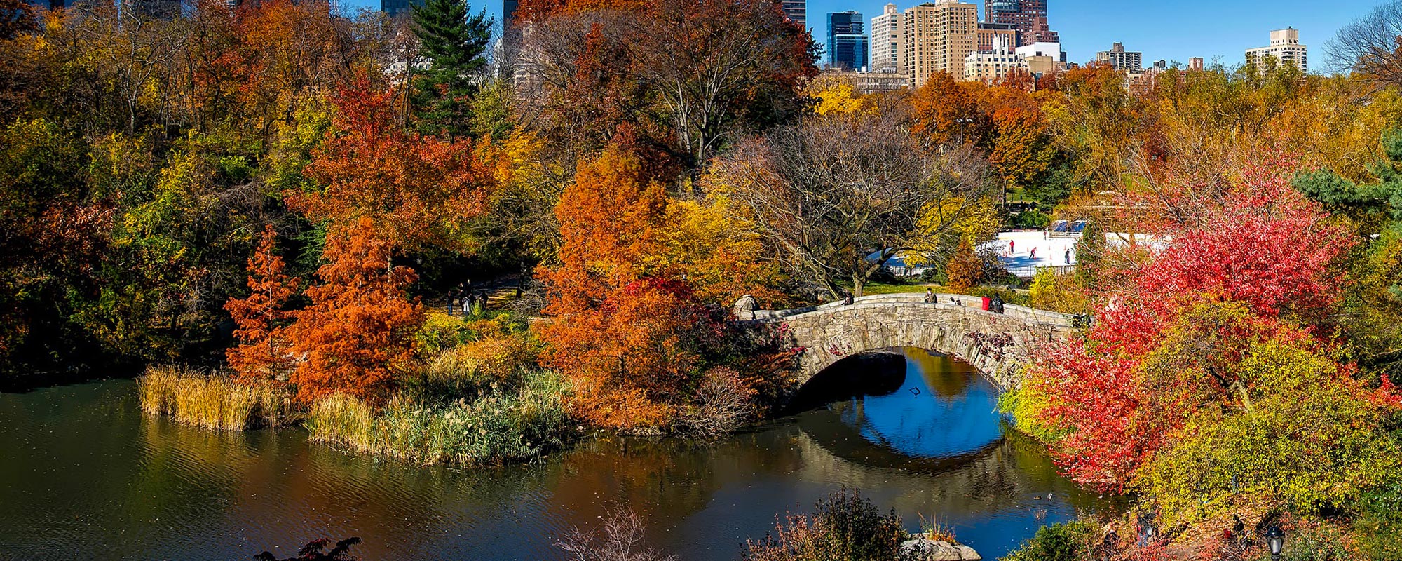 New York Department of Environmental Conservation - The Environmental ...