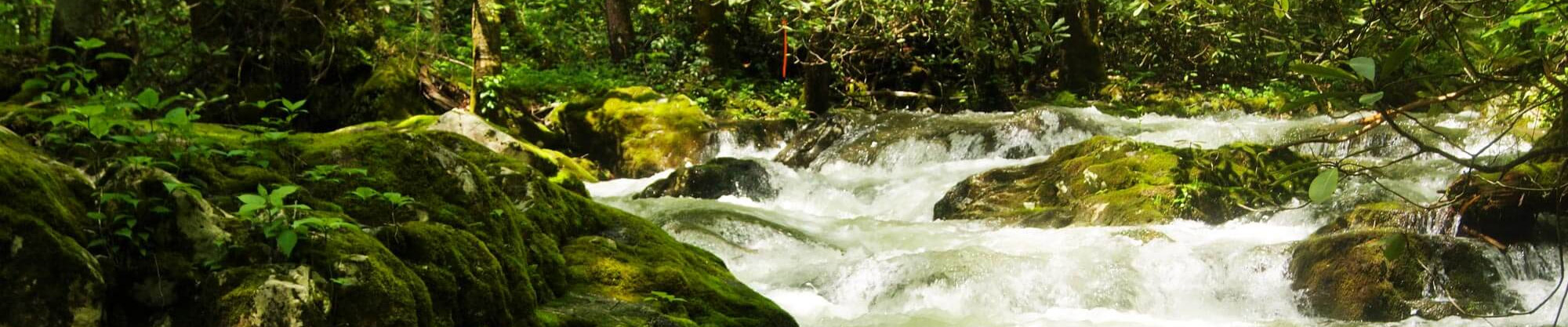 Tennessee Department of Environment and Conservation - The ...