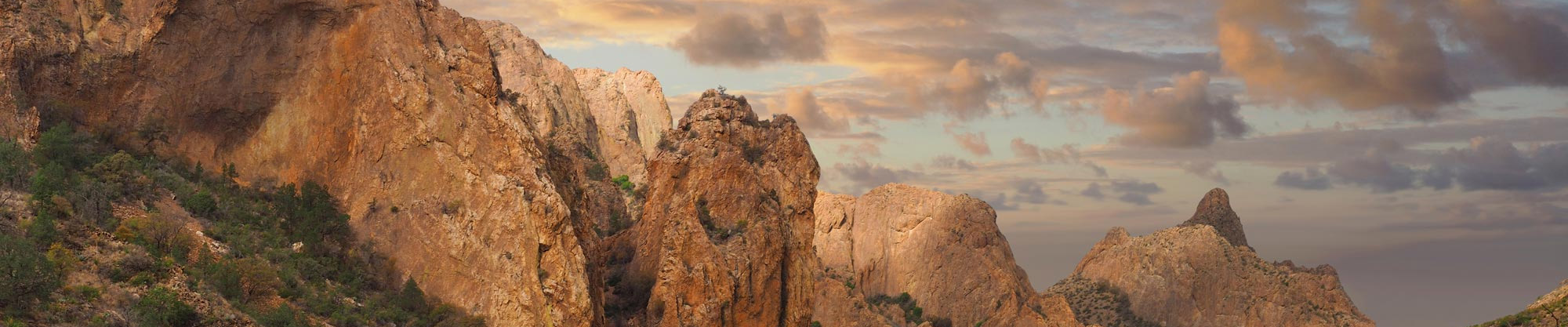 Texas Commission on Environmental Quality - The Environmental Council ...