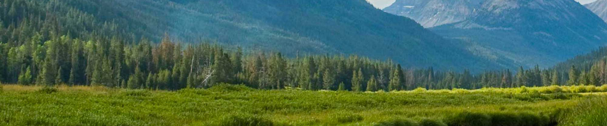 Utah Department of Environmental Quality - The Environmental Council of ...