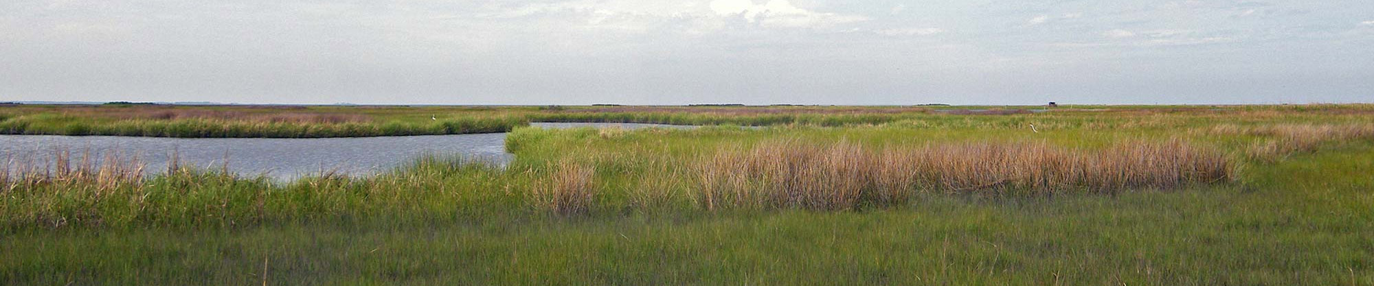 Virginia Department of Environmental Quality - The Environmental ...