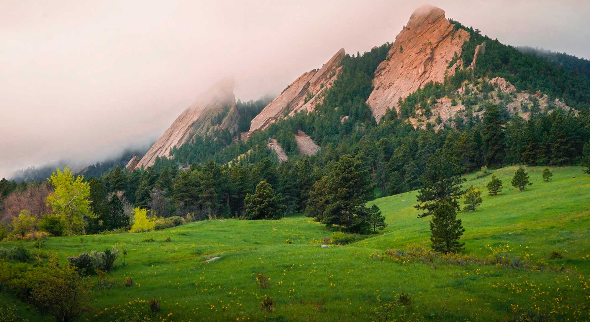 The Environmental Council of the States (ECOS) | Improving the ...